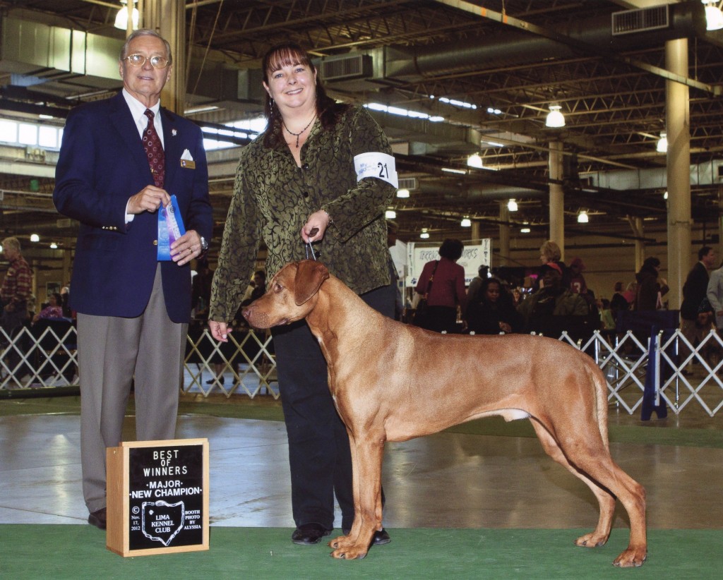 Cooper – BRIDON Rhodesian Ridgebacks