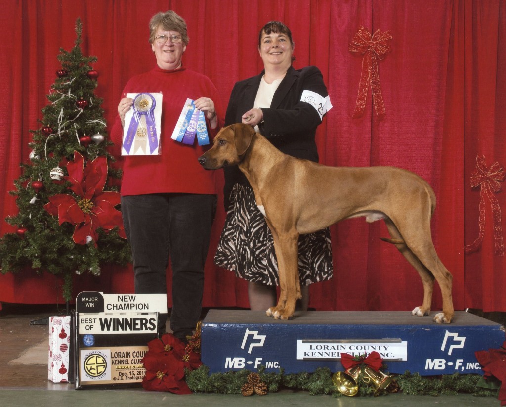 River – BRIDON Rhodesian Ridgebacks